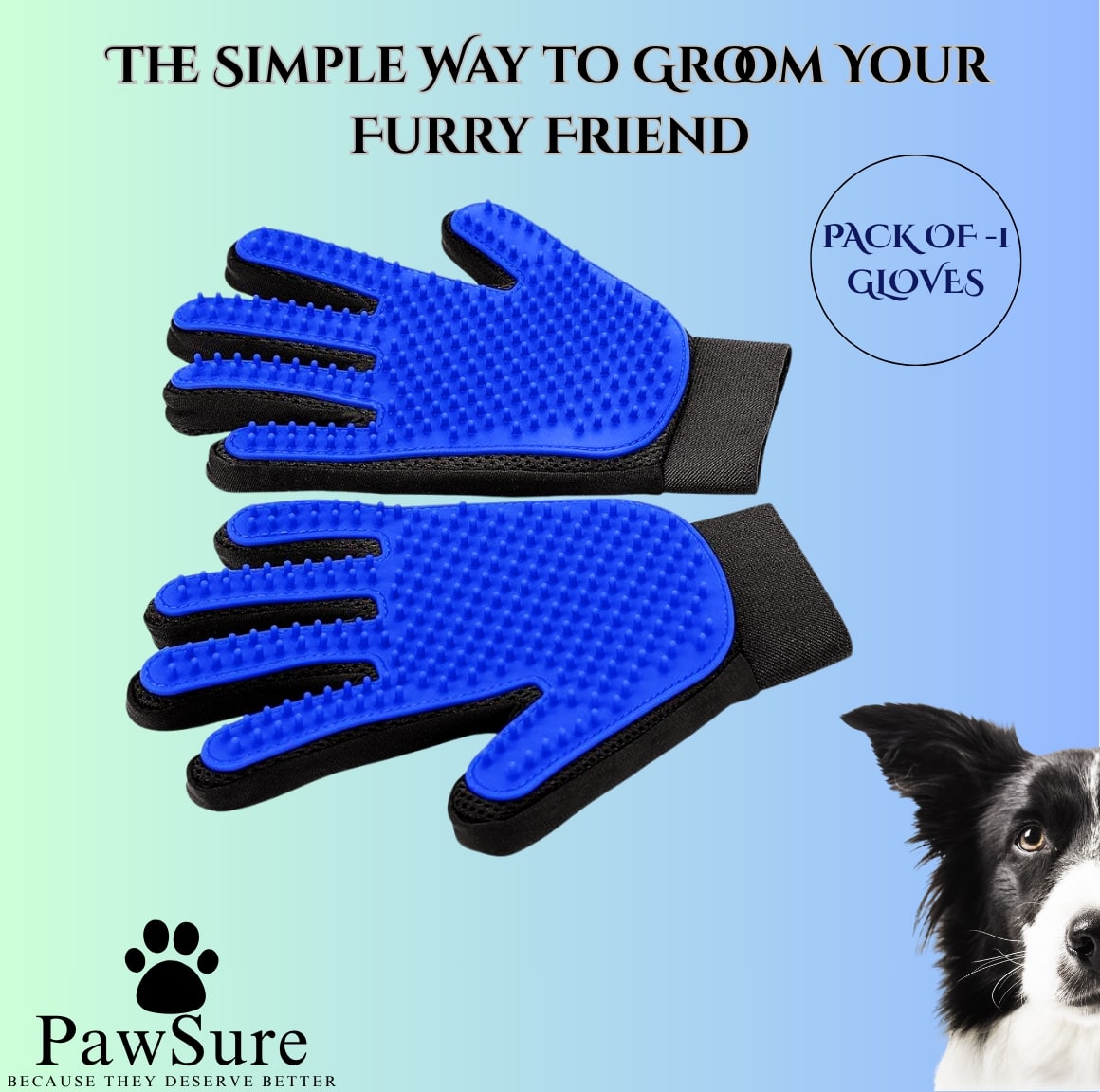 pawsureindia|| Blog Detail page